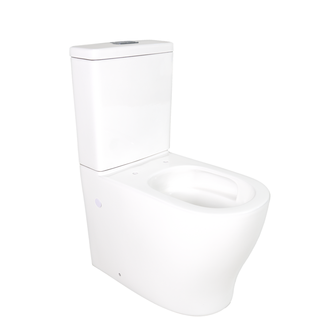 Bidet Seat & Toilet Combo | One Piece Toilet With Bidet