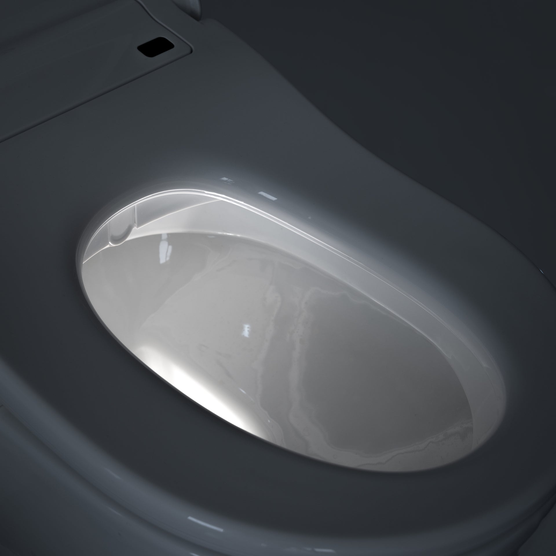 Mr BumWash D Shape Colour ED Bidet Seat | Bidets Online
